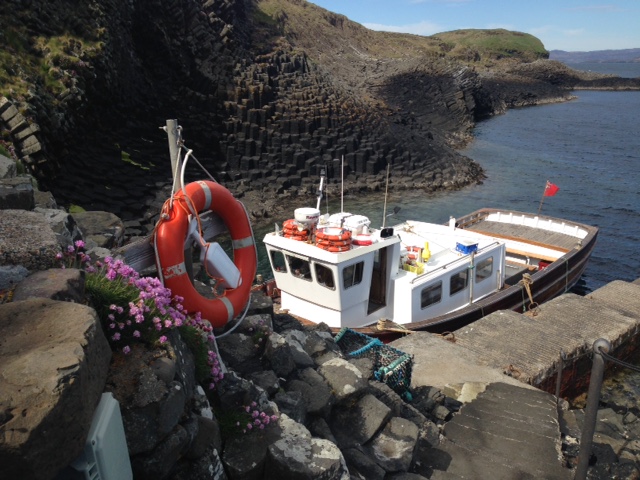 Puffin Pilgrimage – Staffa Island | Come Walk With Me